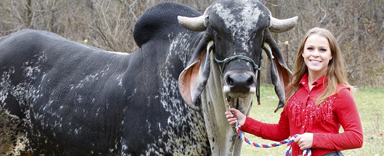 Michigan Indu-Brazilian Cattle Senior Pictures